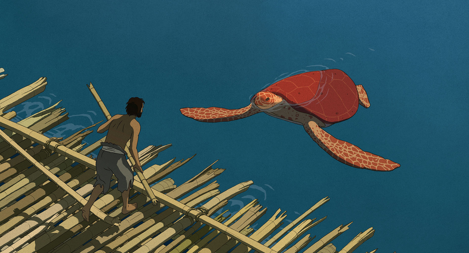 TIFF 2016: The Red Turtle Review - That Shelf