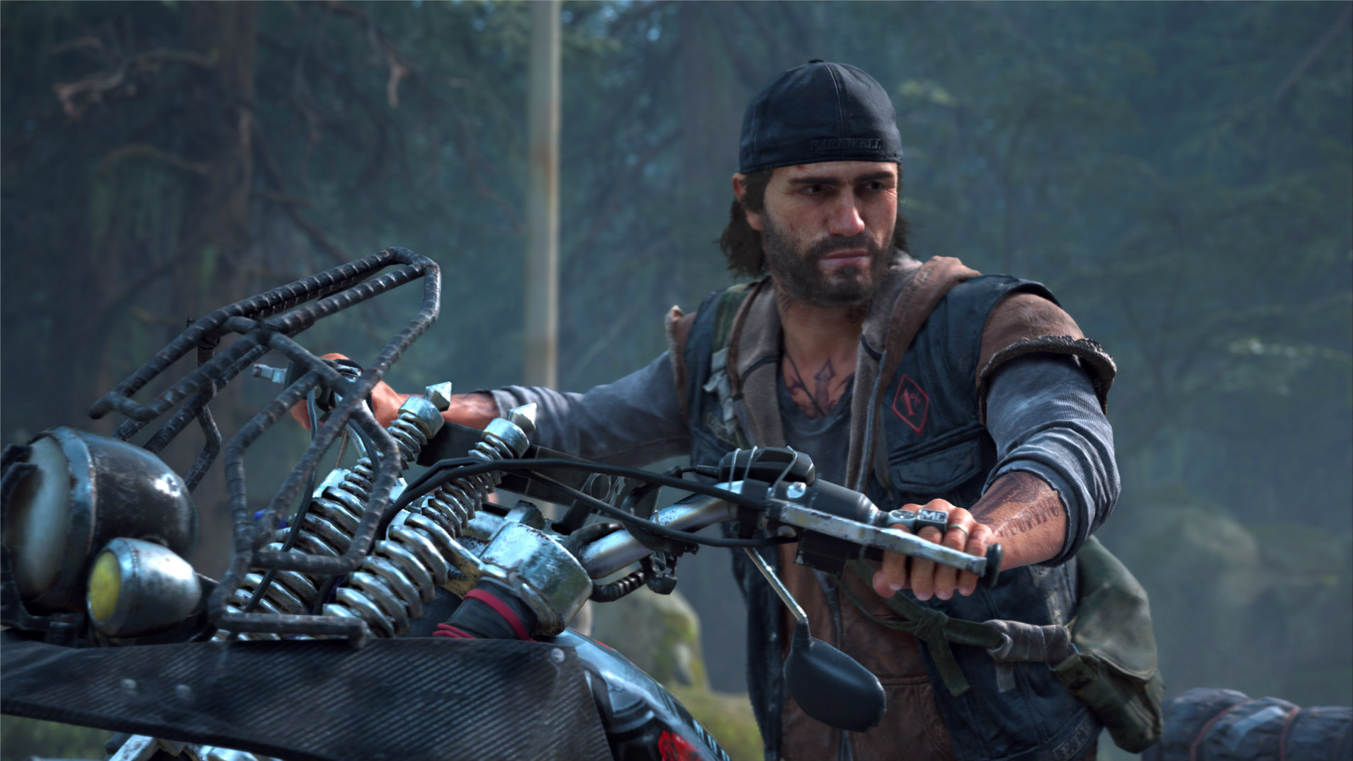 Days Gone Review: It's a Hard Knock Life - That Shelf